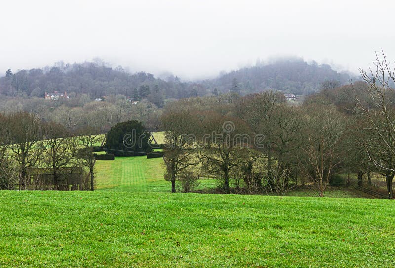 Beautiful Trees and Field with Mist Fog Stock Image - Image of foggy ...