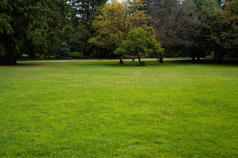 Beautiful Trees and Green Grass in the Garden Stock Image - Image of ...