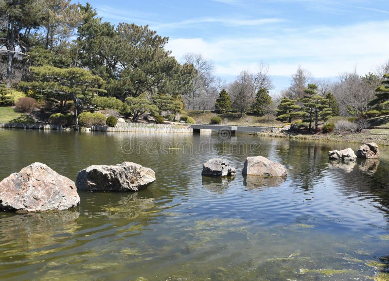 Beautiful trees by a lake stock photo. Image of nature - 115180570