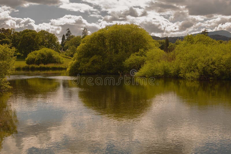 Trees near the lake stock image. Image of park, high - 248924915