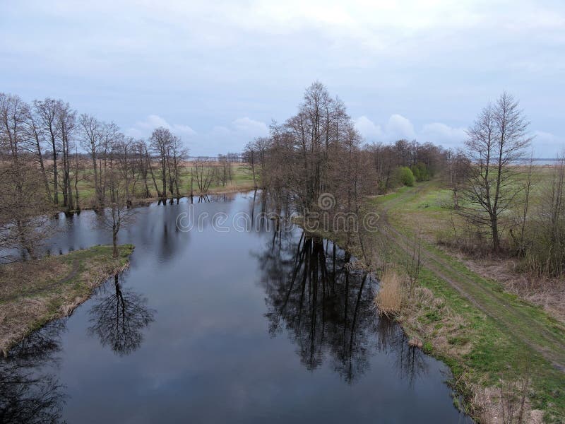 Beautiful Trees Near River, Lithuania Stock Photo - Image of green ...