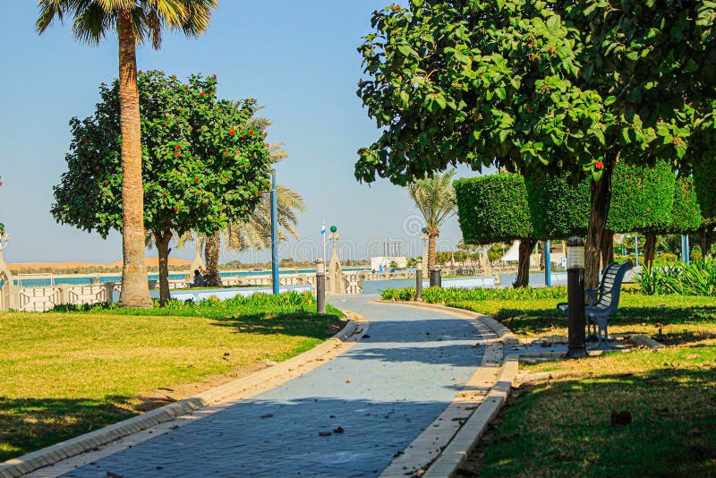 A Beautiful Trees Nice View at Corniche Stock Photo - Image of landsa ...