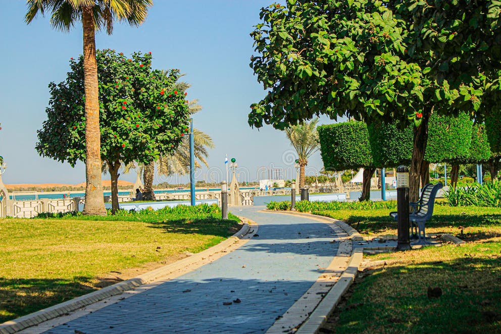 A Beautiful Trees Nice View at Corniche Stock Photo - Image of landsa ...