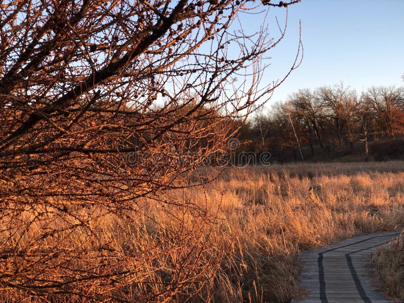 Pathway to heaven stock photo. Image of river, beautiful - 108753492