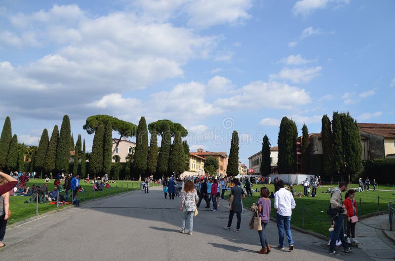 Beautiful trees in Pisa editorial stock image. Image of baroque - 56844144
