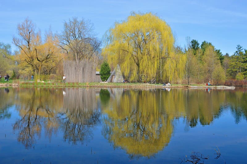 Beautiful trees stock photo. Image of beauty, garden - 47250024