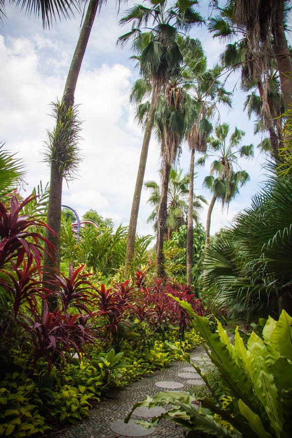 Beautiful tropic nature stock photo. Image of east, indonesian - 70468400