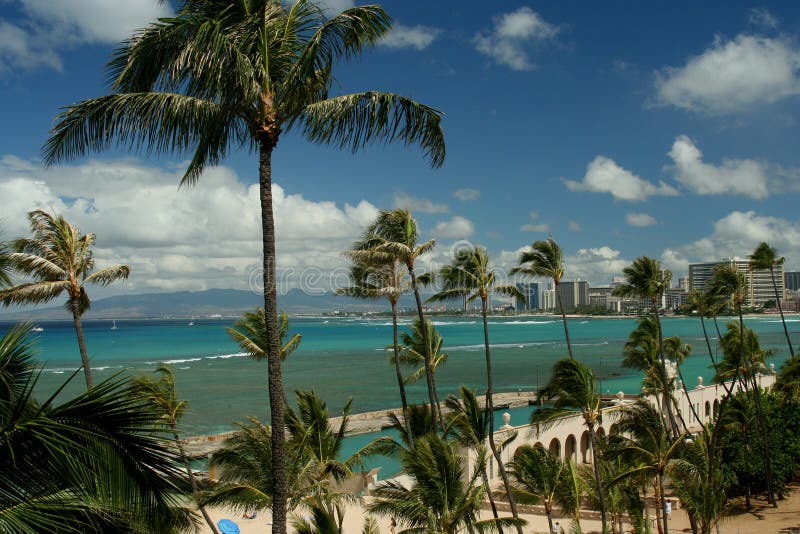 Beautiful Tropic View of Honolulu Stock Photo - Image of water, tree ...