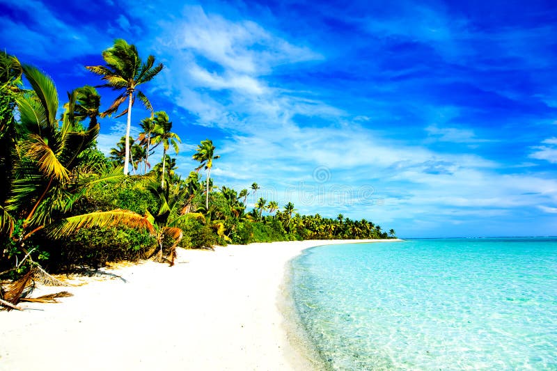 Beautiful Tropical Beach stock image. Image of exotic - 28323567