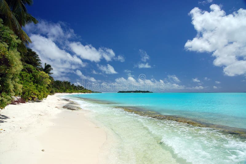 Beautiful tropical beach stock image. Image of atoll, coconut - 2901635