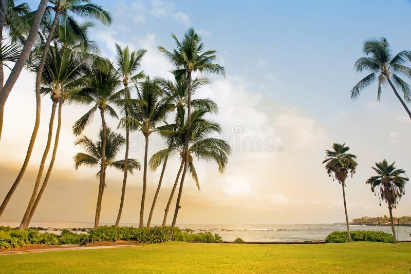 Beautiful Tropical Beach stock photo. Image of scene, travel - 5358130