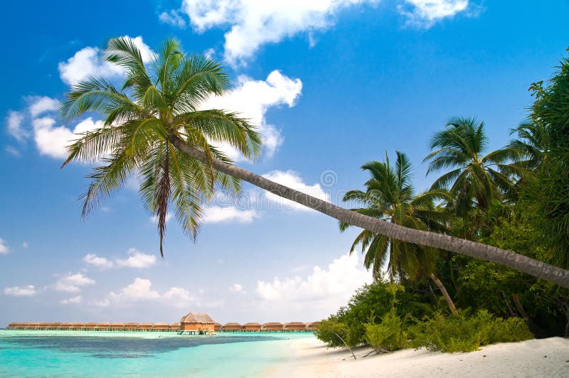 Beautiful tropical beach stock image. Image of scenery - 9857953