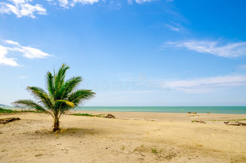 Beautiful Tropical Beach in the Coast of Ecuador Stock Image - Image of ...