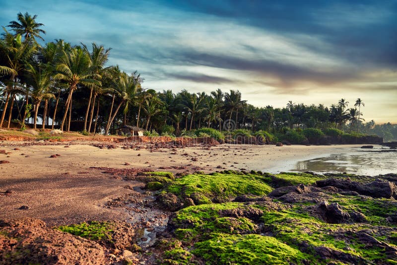 The Beautiful Nature of the State of Goa Near the Palole Beach at ...