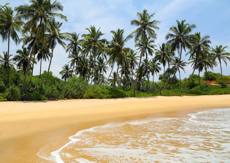Beautiful Tropical Beach Landscape Stock Image - Image of coastline ...