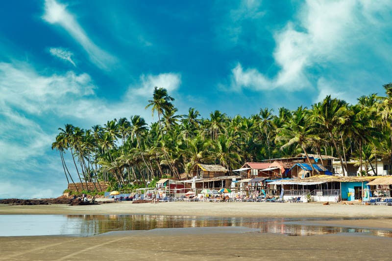 Beautiful Tropical Beach with Palms in Goa Editorial Stock Photo ...