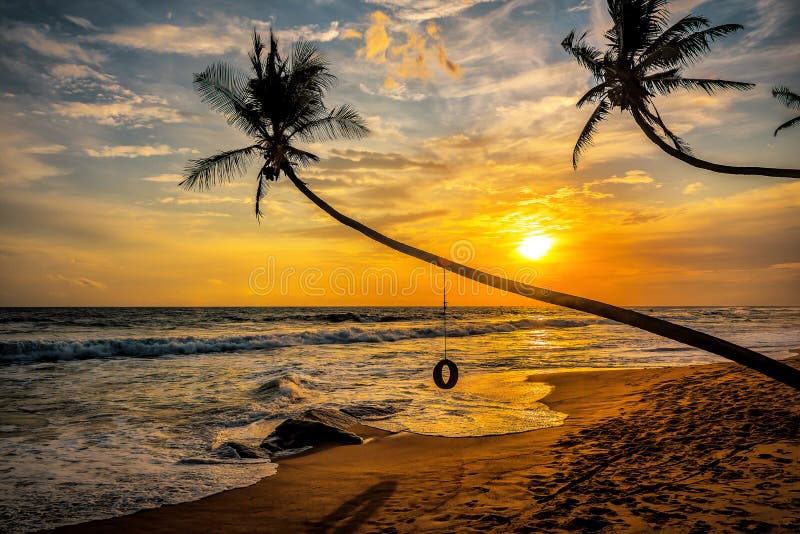 Beautiful Tropical Beach at Sunset, Tire Swing on Palm Tree Stock Photo ...