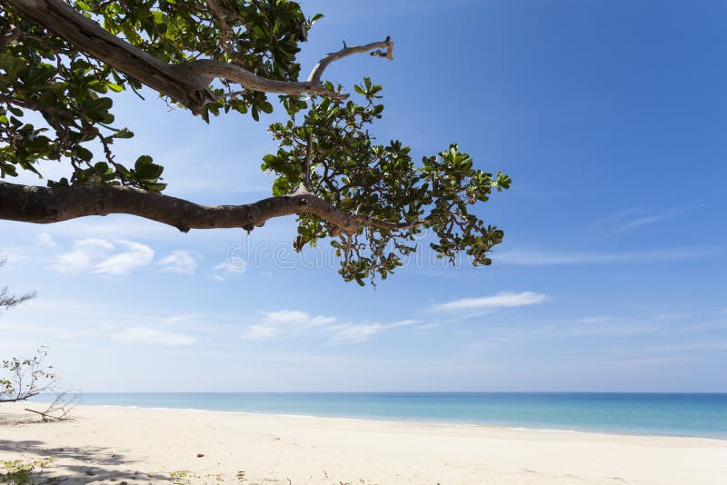 Beautiful Tropical Beach with Trees. Stock Photo - Image of tropic ...