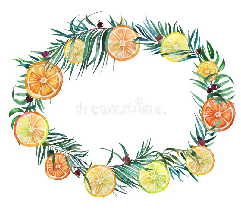 Botanical Fruit Border Stock Illustrations – 3,514 Botanical Fruit ...