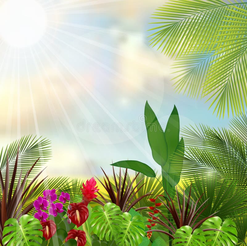 Beautiful Tropical in the Morning with a Tree and Flowers Stock Vector ...