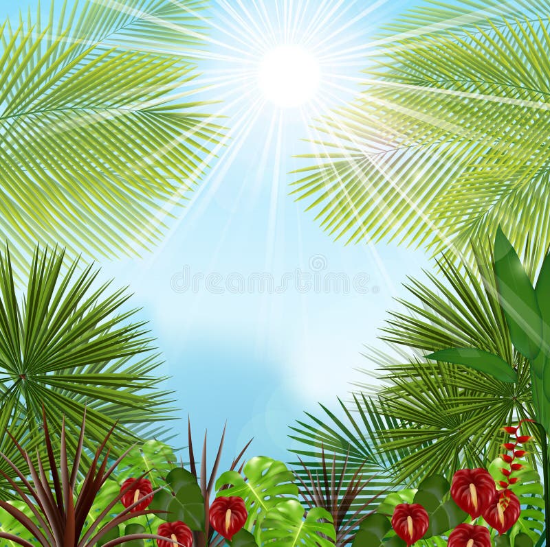 Beautiful Tropical in the Morning with a Tree and Flowers Stock Vector ...