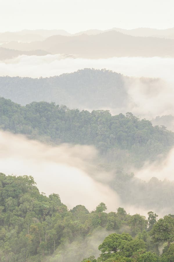 Beautiful Tropical Mountain Mist in Rain Forest. Stock Photo - Image of ...