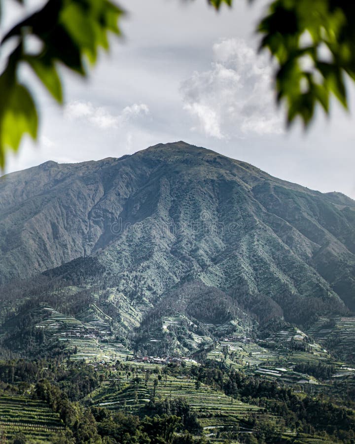 Beautiful Tropical Mountain View Under the Sunlight Stock Photo - Image ...