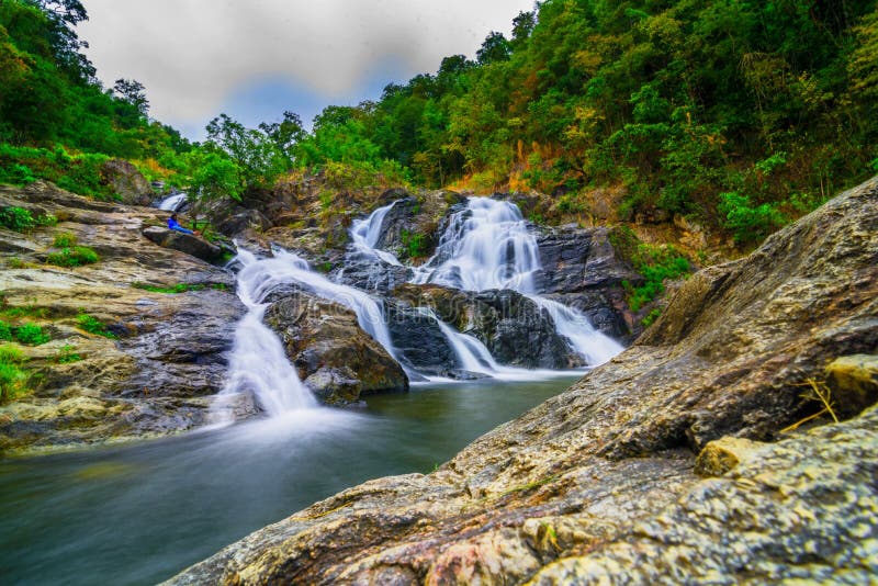 Beautiful Tropical Rainforest and Stream in Deep Forest, Stock Image ...
