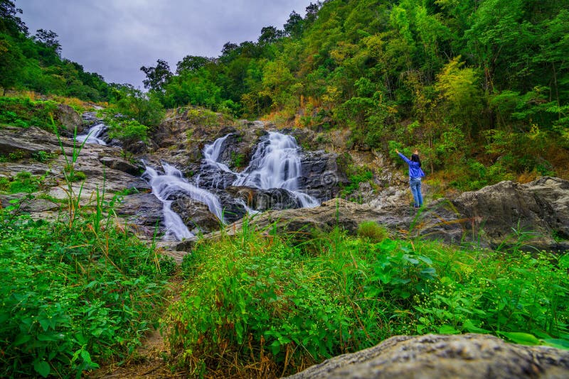 Beautiful Tropical Rainforest and Stream in Deep Forest, Stock Photo ...