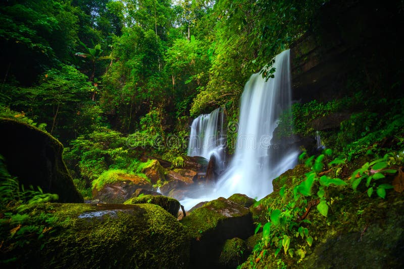 Beautiful Tropical Rainforest Waterfall in Deep Forest Stock Image ...