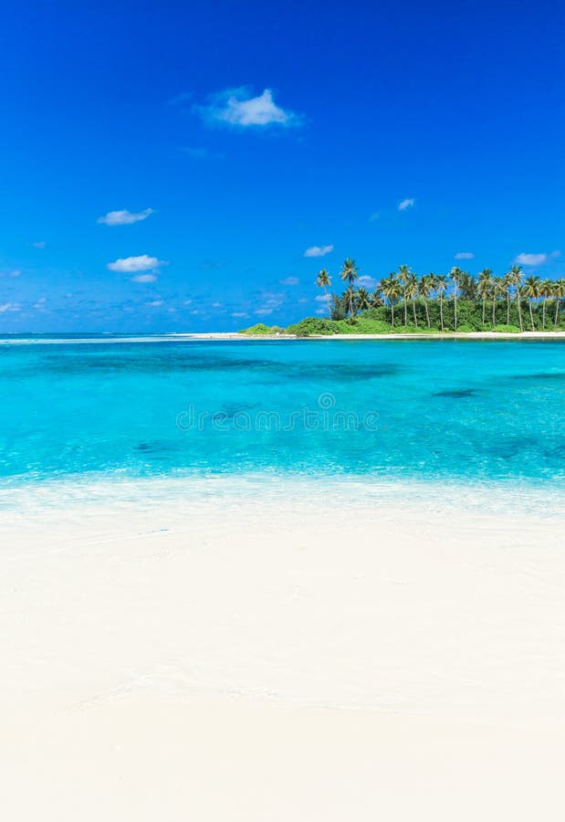 Beautiful tropical sea stock image. Image of ocean, white - 265187471