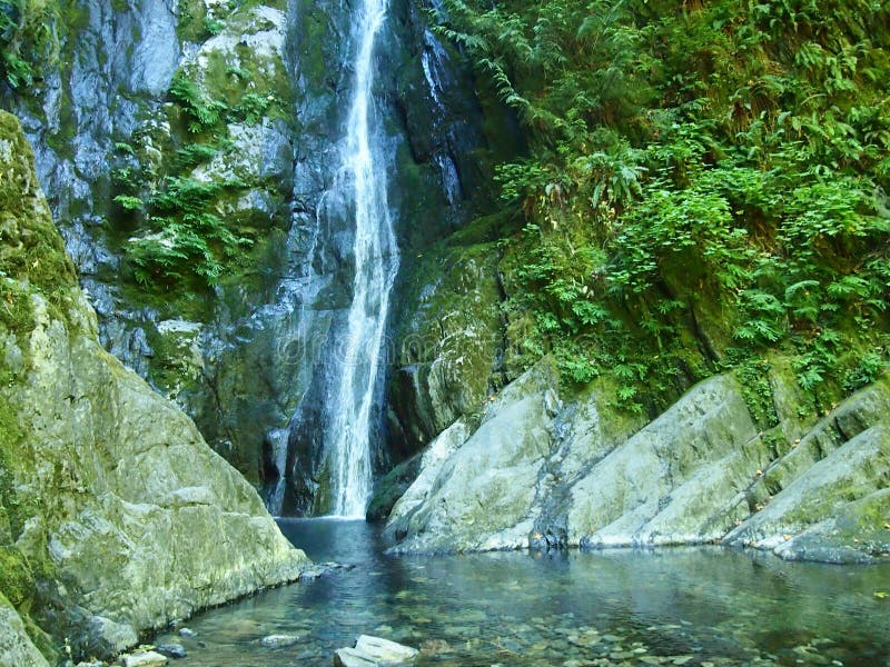 Beautiful Tropical Small Waterfall Filled with Clear Water Stock Image ...