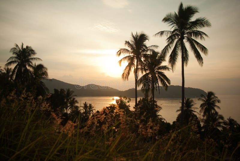 Beautiful tropical sunset stock image. Image of landscape - 21590515