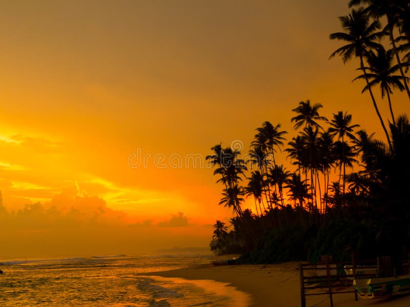Beautiful tropical sunset stock image. Image of scene - 26212077