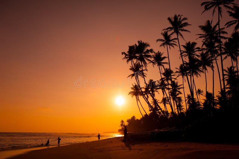 Beautiful tropical sunset stock photo. Image of beautiful - 26227328