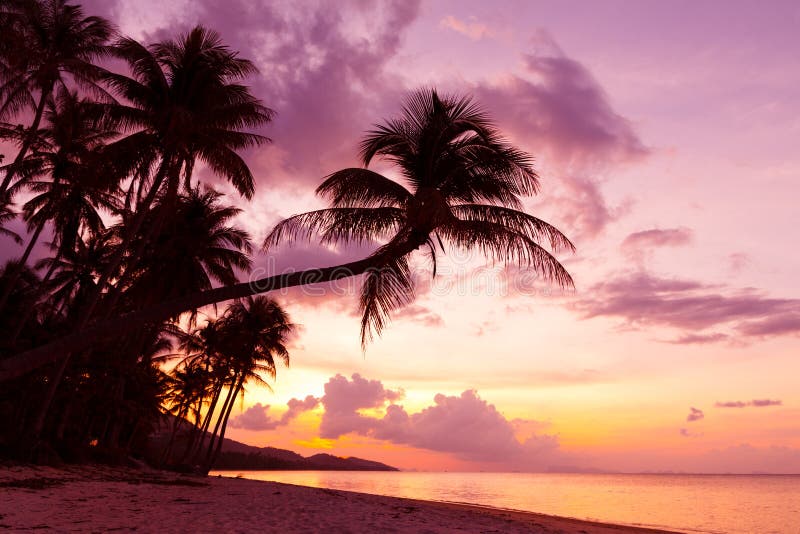 Beautiful tropical sunset stock photo. Image of lagoon - 86225756