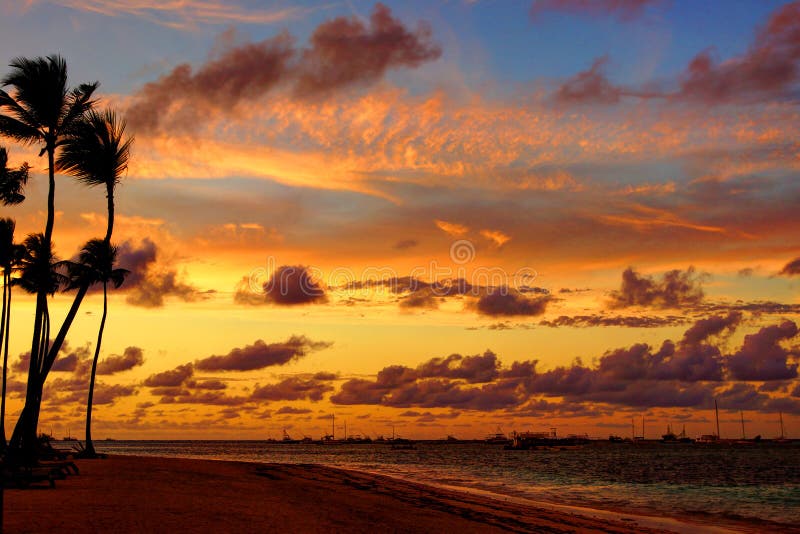 Beautiful tropical sunset stock photo. Image of clouds - 90101968