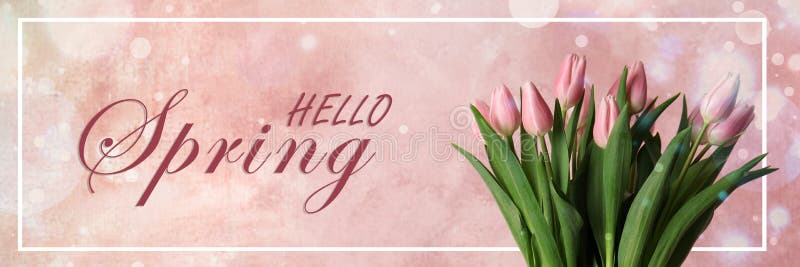 Beautiful Tulips on Background. Hello Spring Stock Photo - Image of ...