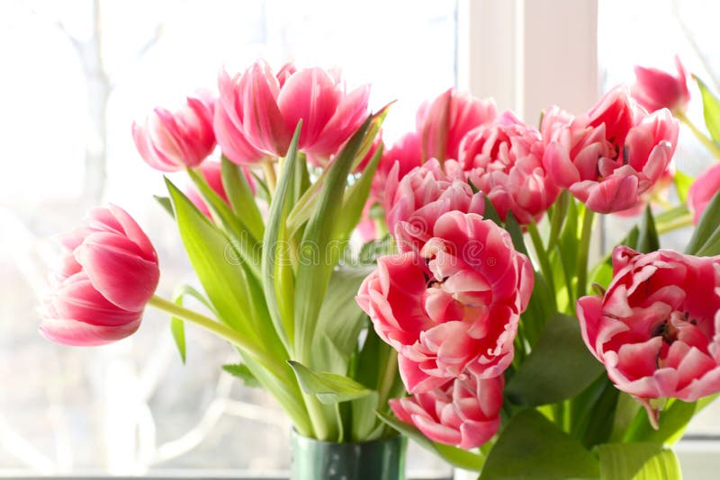 Beautiful Tulips on Windowsill Stock Image - Image of pink, greeting ...