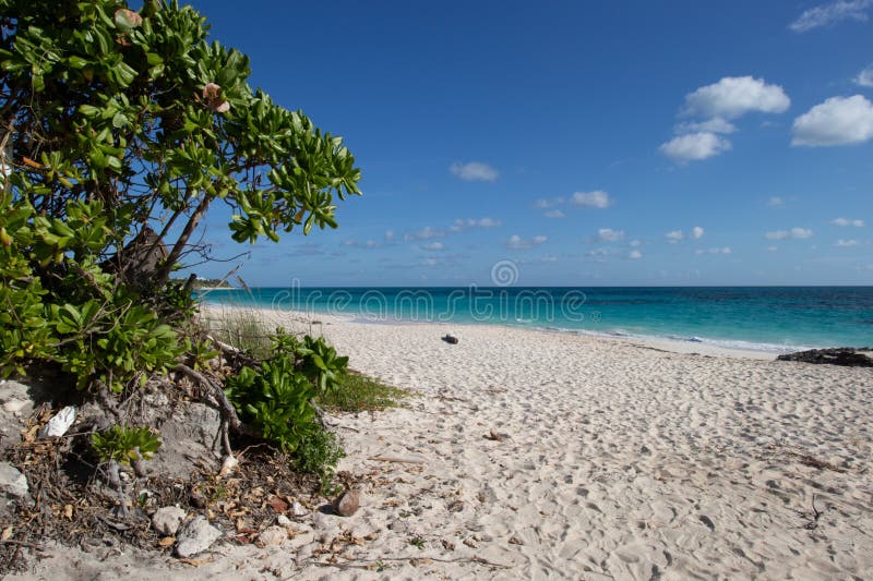 Beautiful Turquoise Blue Water at a Beach Stock Photo - Image of ...