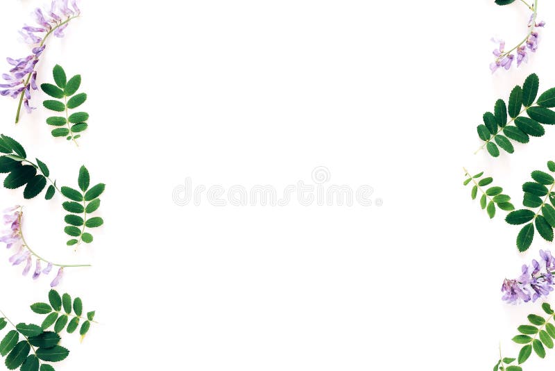 Beautiful Twigs of Plants Stand on the Edges Stock Image - Image of ...