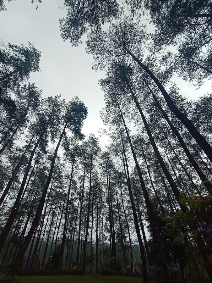 Beautiful Twilight and Cool Weather Stock Photo - Image of twilight ...