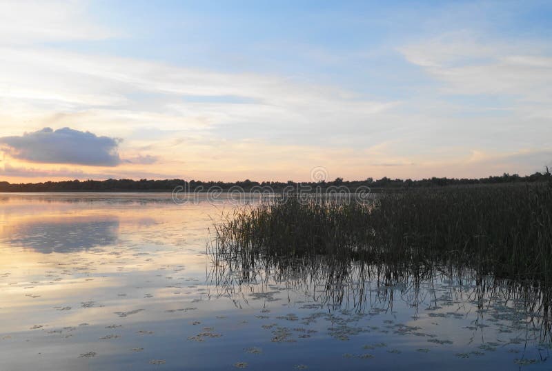 Beautiful Twilight in the Danube Delta Delta Dunarii Stock Photo ...