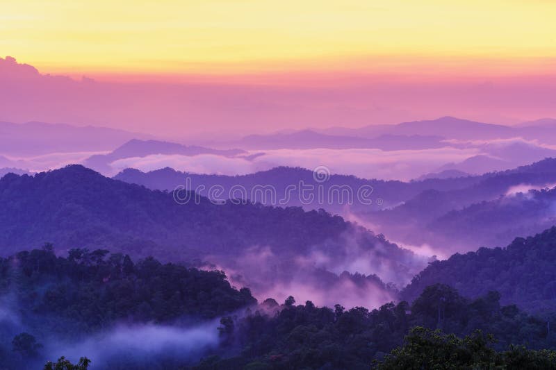 Beautiful Twilight Landscape in Rain Forest. Stock Image - Image of ...