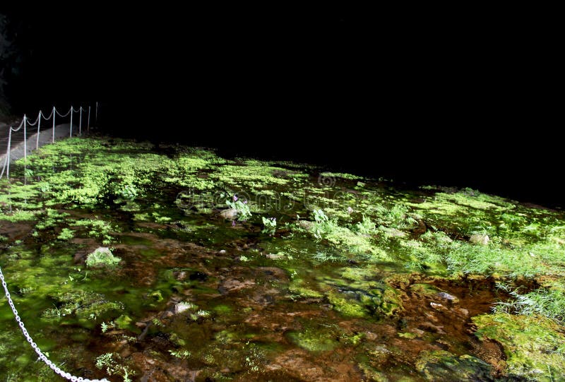 A Beautiful Underground Cave Lake with Green Vegetation and Moss ...