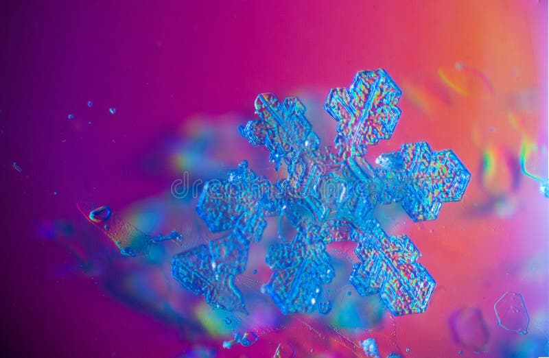 Beautiful Unique Snowflake of Frozen Snow. Stock Image - Image of ...