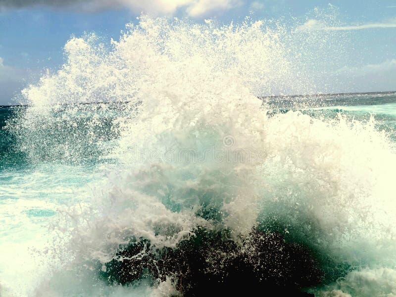 Beautiful and Unrelenting stock photo. Image of beautiful - 225624074