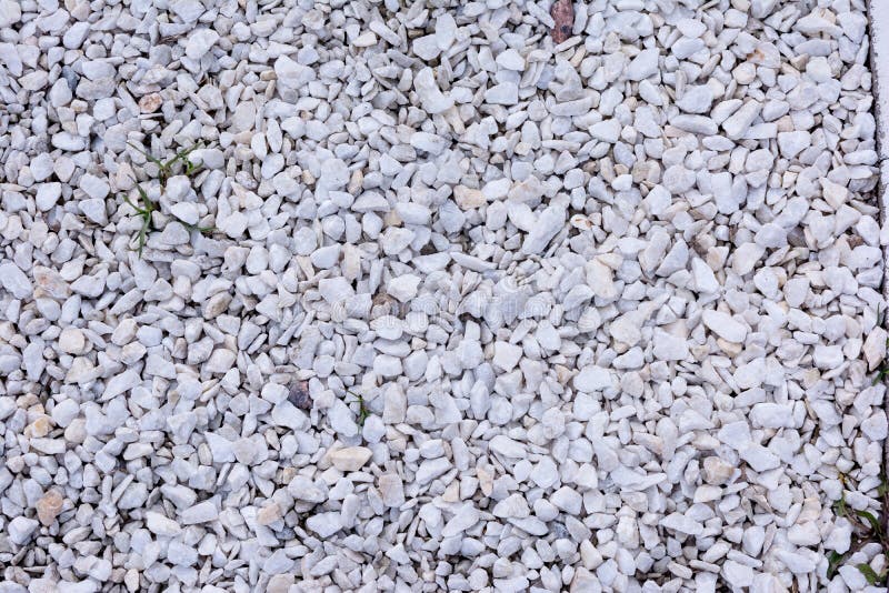 Beautiful Unusual Background of Small Fresh Pebbles. White Pebbles for ...