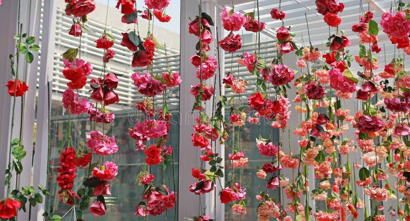 Beautiful Upside Down Flowers Hanging from Ceiling Stock Photo - Image ... Beautiful Upside Down Flowers Hanging from Ceiling Stock Photo - Image ...