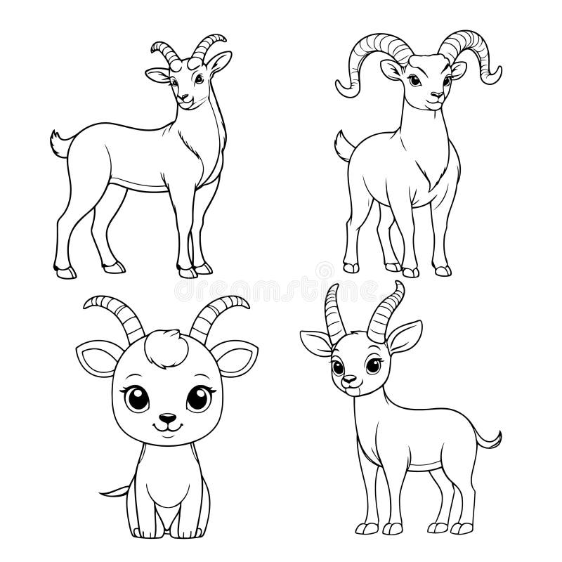 Beautiful Urial Line Art Vector Artwork. Stock Vector - Illustration of ...